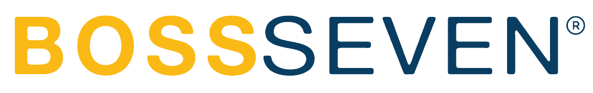 Company Profile Download - Boss Seven Website